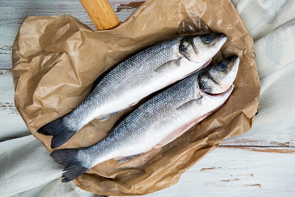 Biban de mare eviscerat 300-400g – Fishtodoor